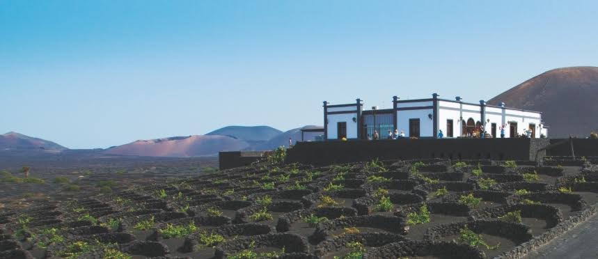 Bodega La Geria obtiene Medalla de Oro | GASTRONOMÍA