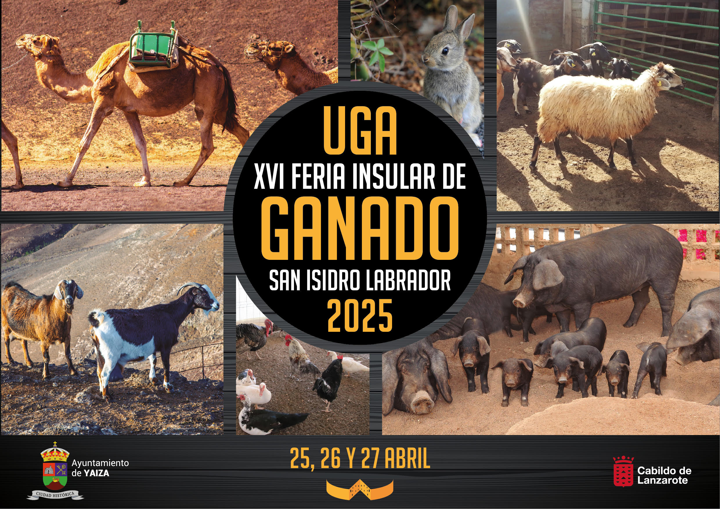 Feria Insular de Ganado San Isidro Labrador de Uga